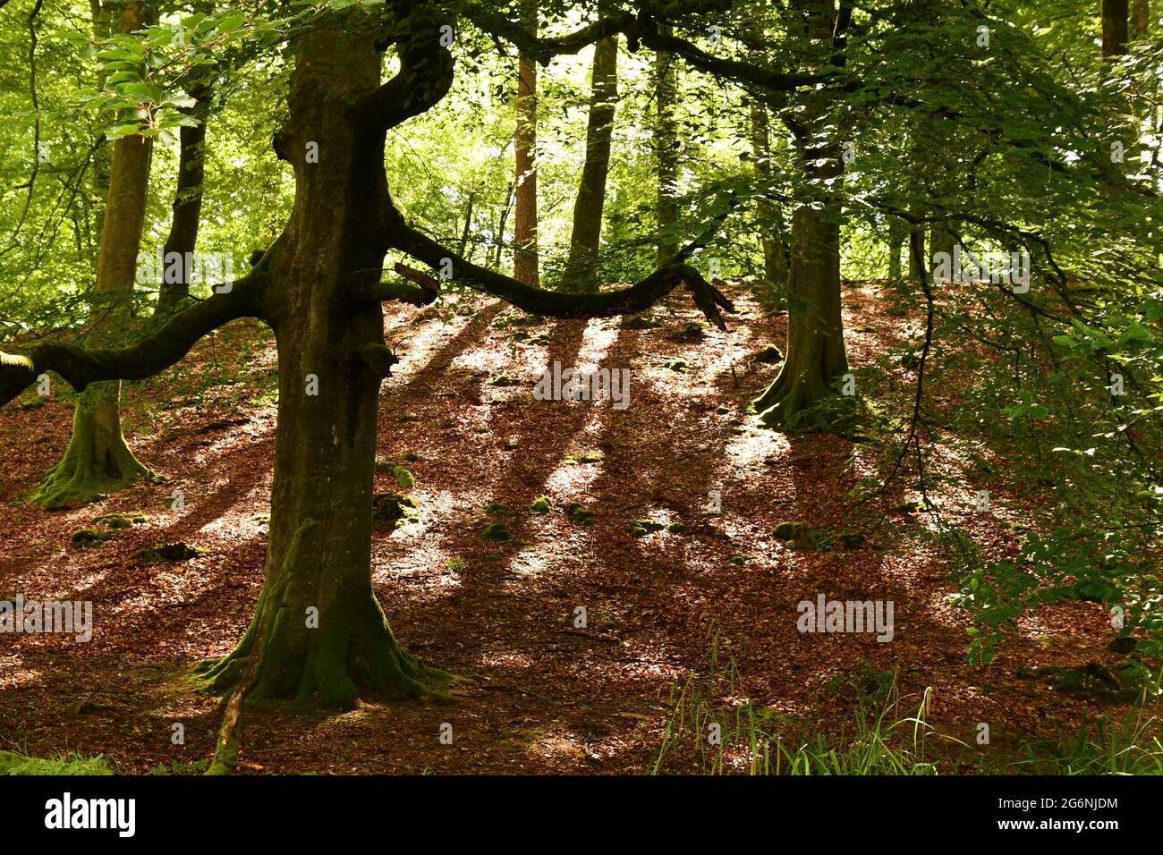 Interesting shadows hi-res stock photography and images - Alamy