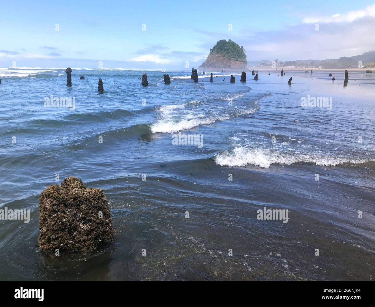 Along the Oregon Coast: Neskowin Ghost Forest - remains of ancient ...