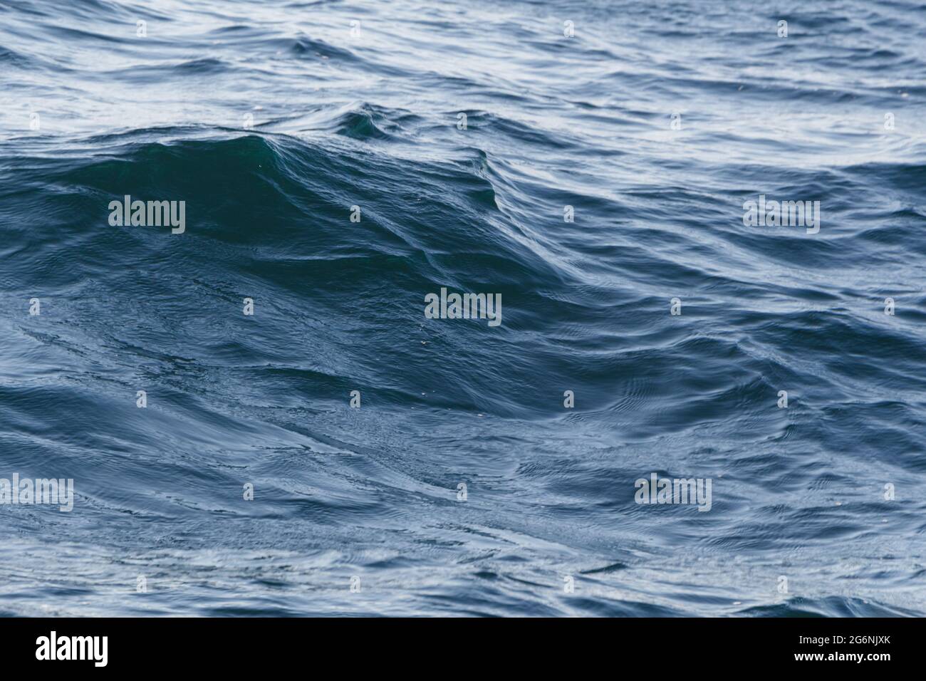 Wavelet hi-res stock photography and images - Alamy