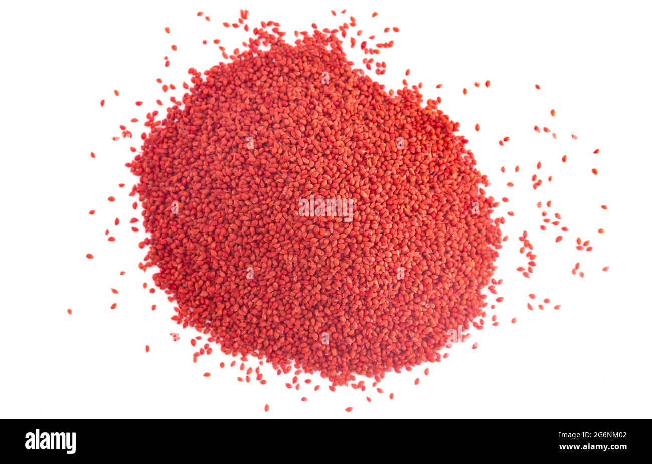 A Pile of Cranberry Seeds Isolated on a White Background Stock Photo ...