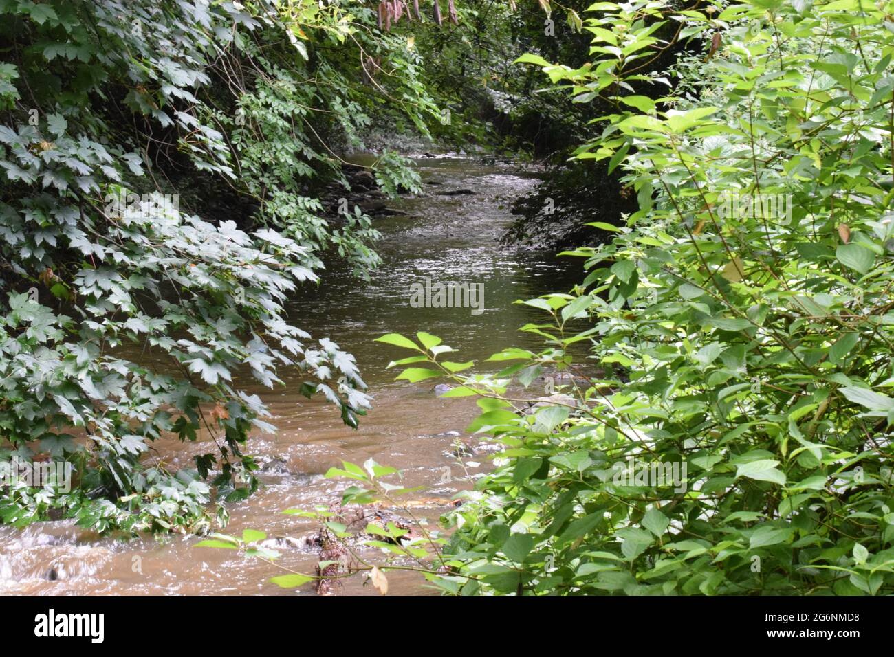 Rural Shropshire stream Stock Photo - Alamy