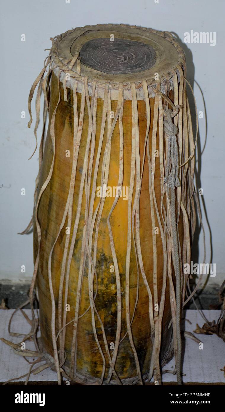 Orchid of assam hi-res stock photography and images - Alamy