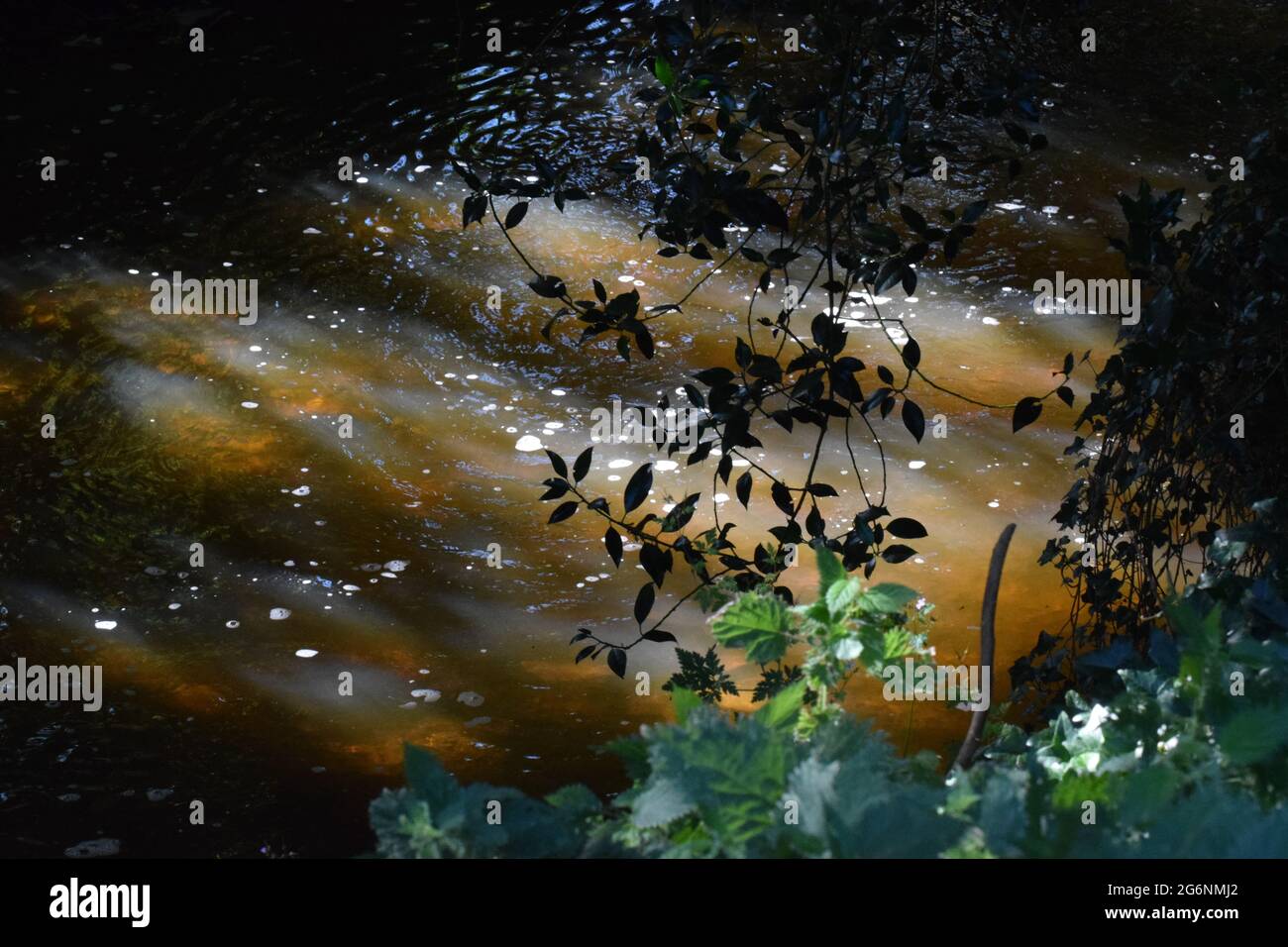 Rea brook in flood Stock Photo - Alamy
