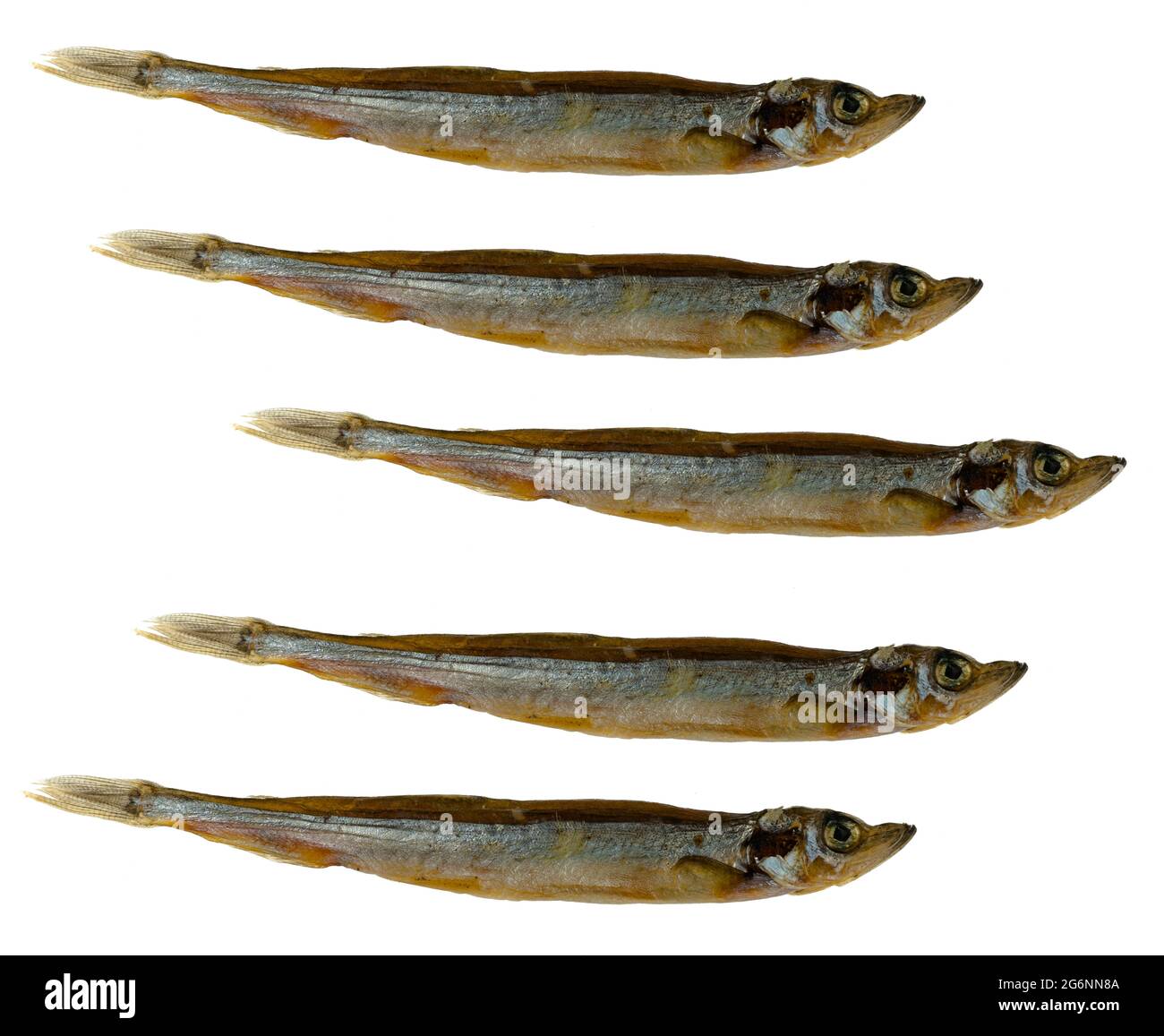 Capelin fish hi-res stock photography and images - Alamy
