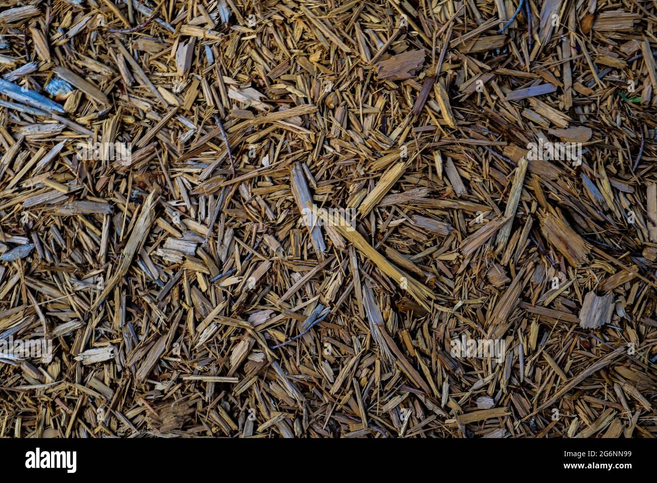 Generic background hi-res stock photography and images - Alamy