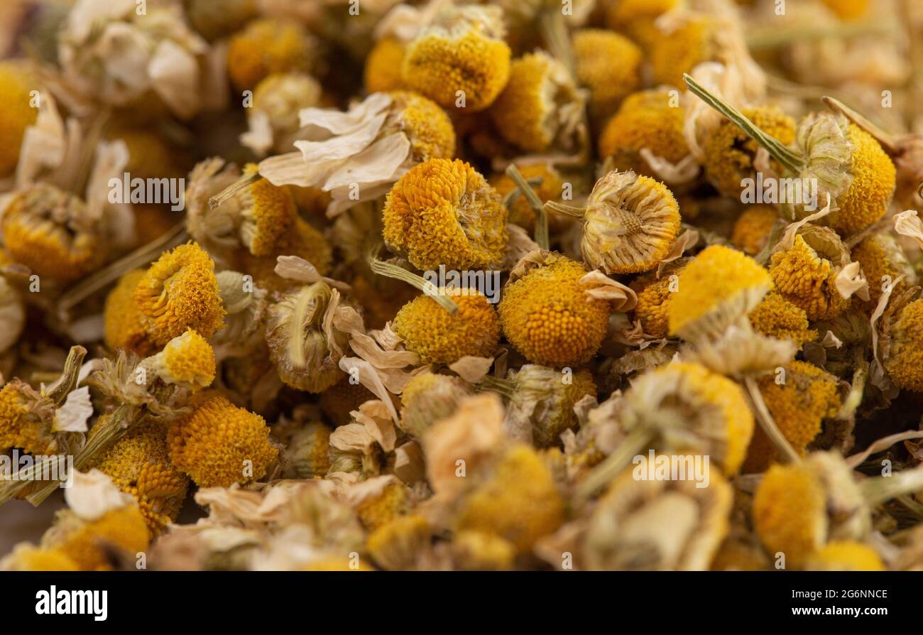 Crushed dried yellow flowers hi-res stock photography and images - Alamy