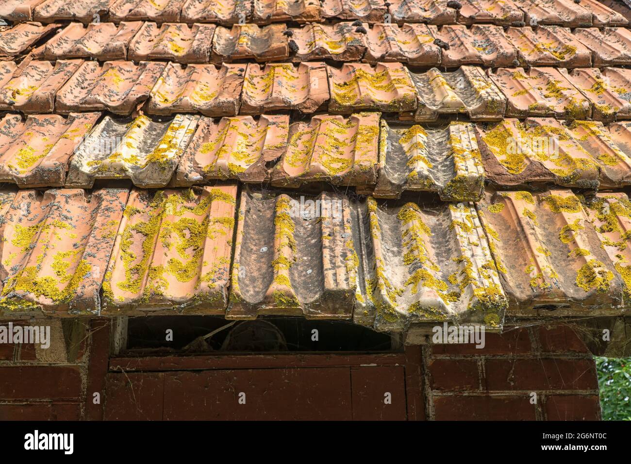 Ceramic tiles on roof of old hut with tin chimney Stock Photo - Alamy