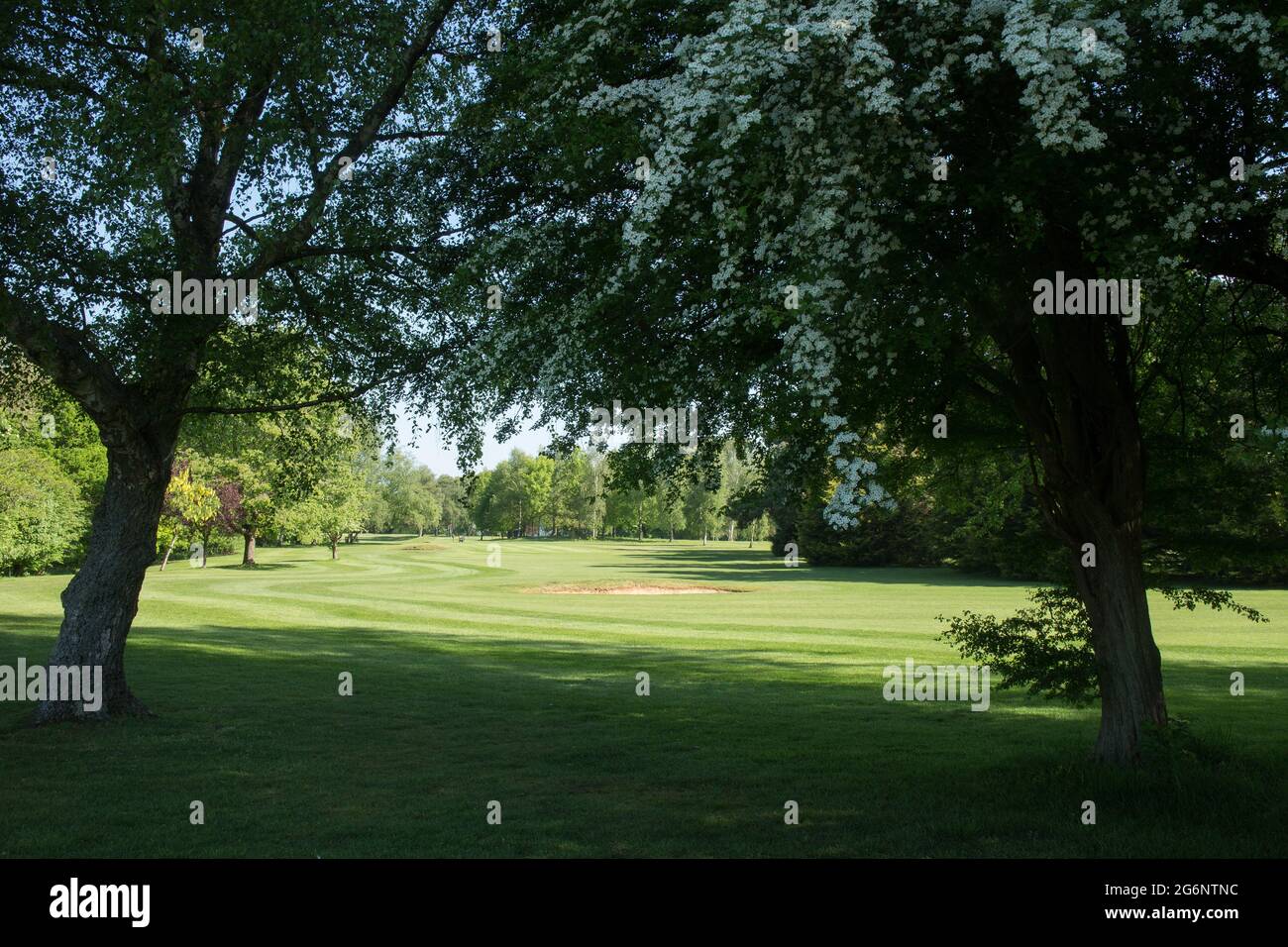 Bramley surrey hi-res stock photography and images - Alamy