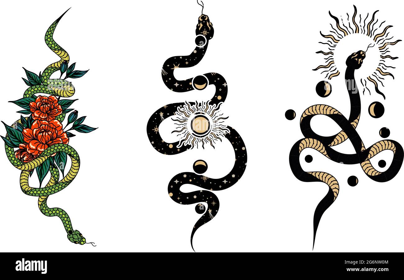 set Occult trendy hand drawn illustration with snake, moon and stars ...