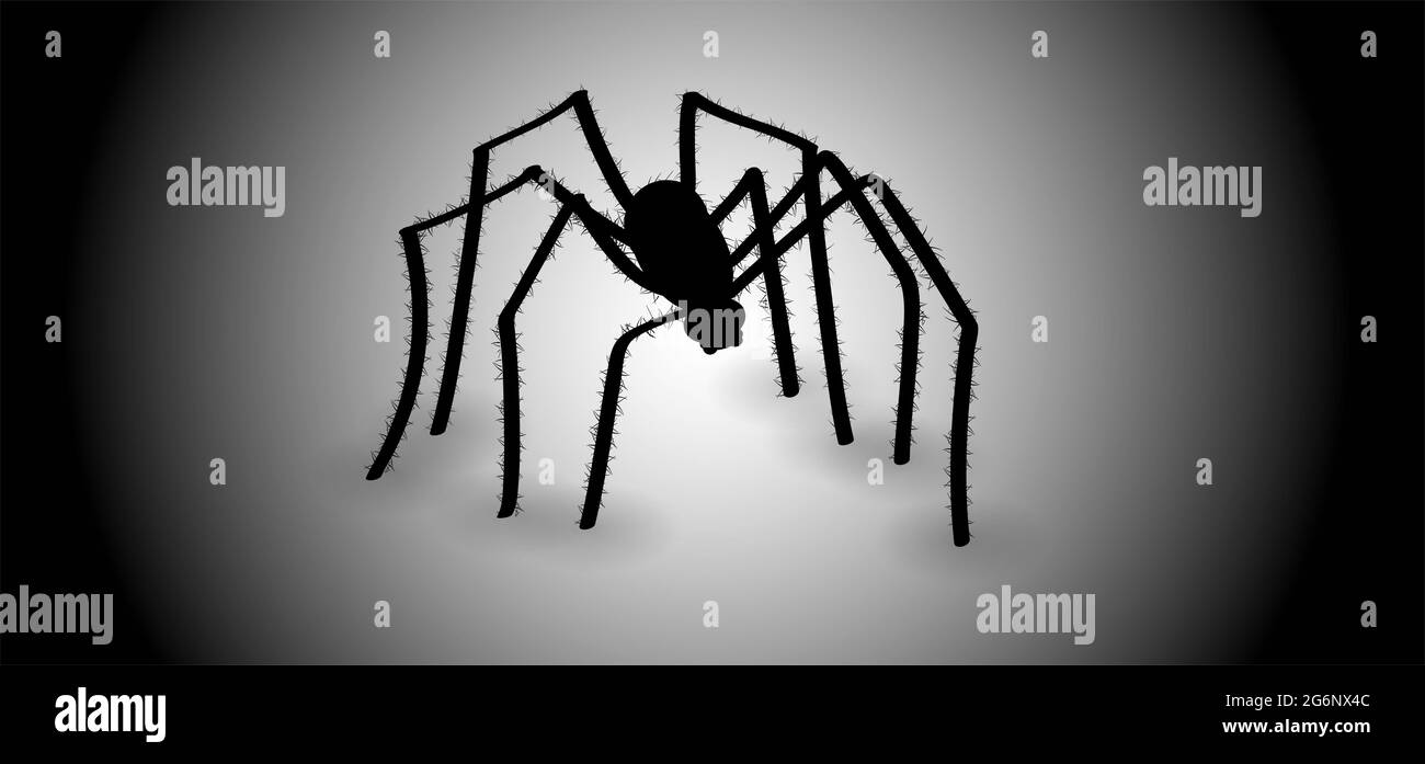 Scary Drawings Of Spiders