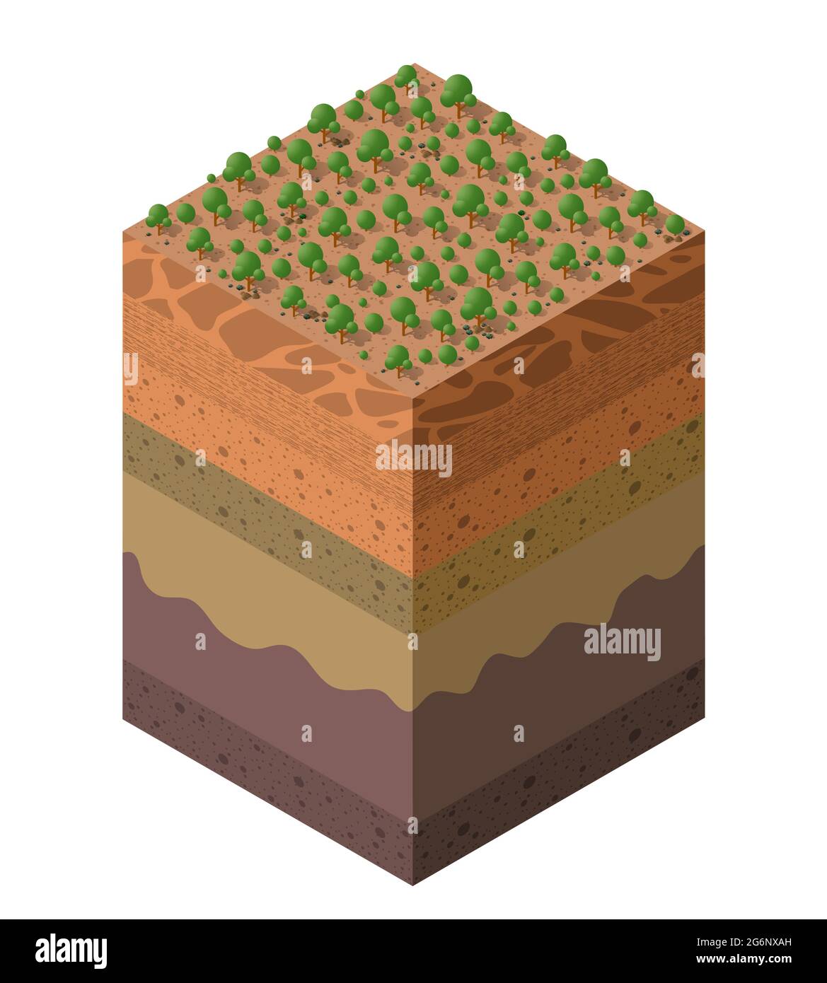 Forest farm Soil layers geological and underground Stock Vector Image ...