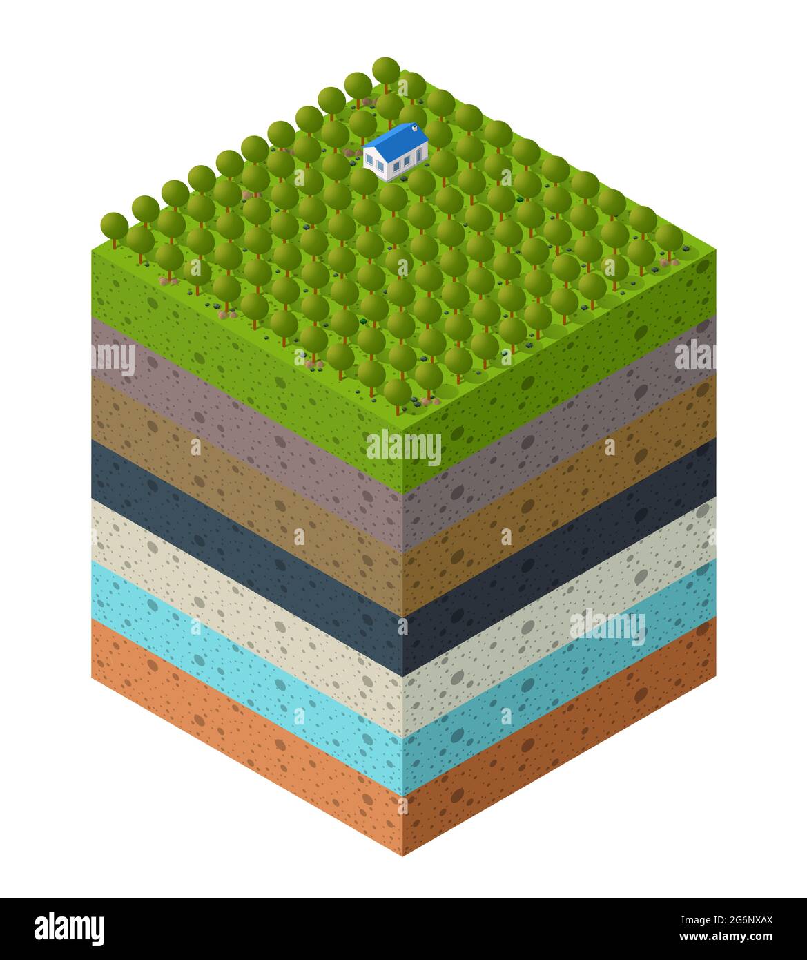 Forest farm Soil layers geological and underground Stock Vector Image ...