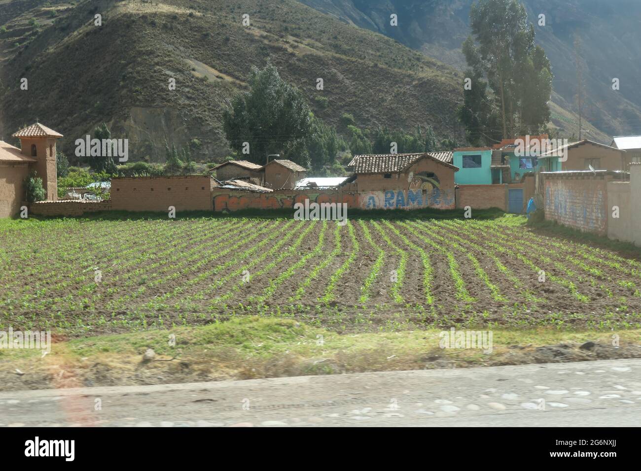 Farm land in a village in the Republic of Peru Stock Photo - Alamy