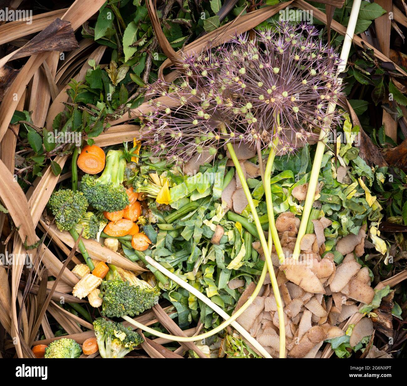 Vegetable Waste High Resolution Stock Photography and Images - Alamy