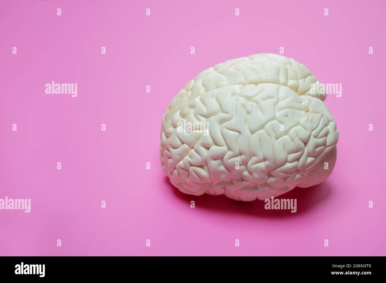 Brain on the pink background conceptual image Stock Photo - Alamy