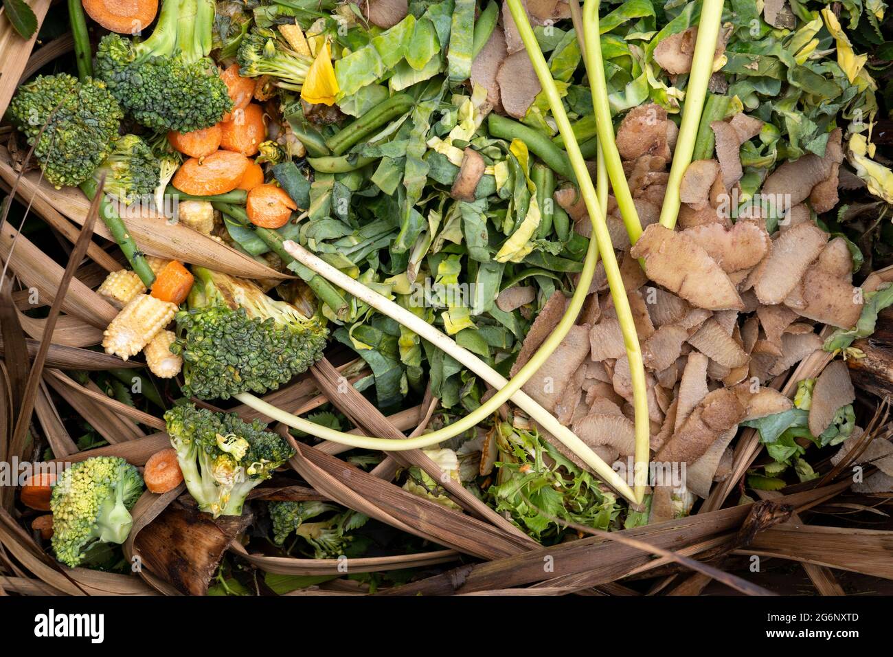 Vegetable waste and peelings on a compost heap Stock Photo - Alamy