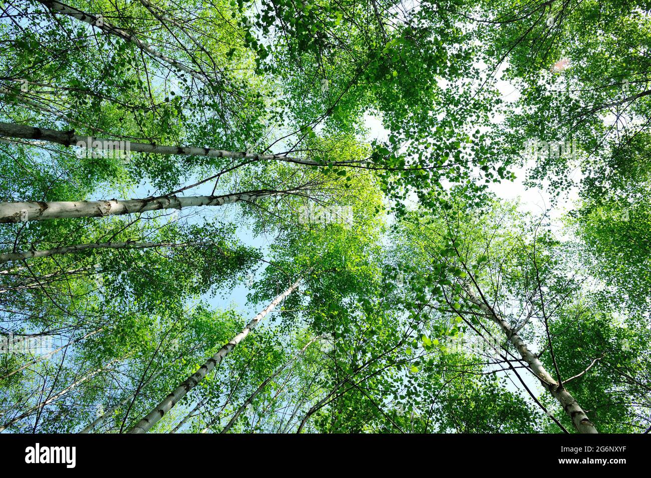 background, beautiful, clear, colorful, country, countryside ...