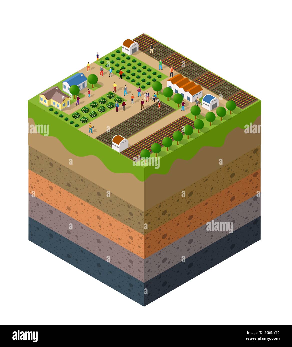 Forest farm Soil layers geological and underground Stock Vector Image ...