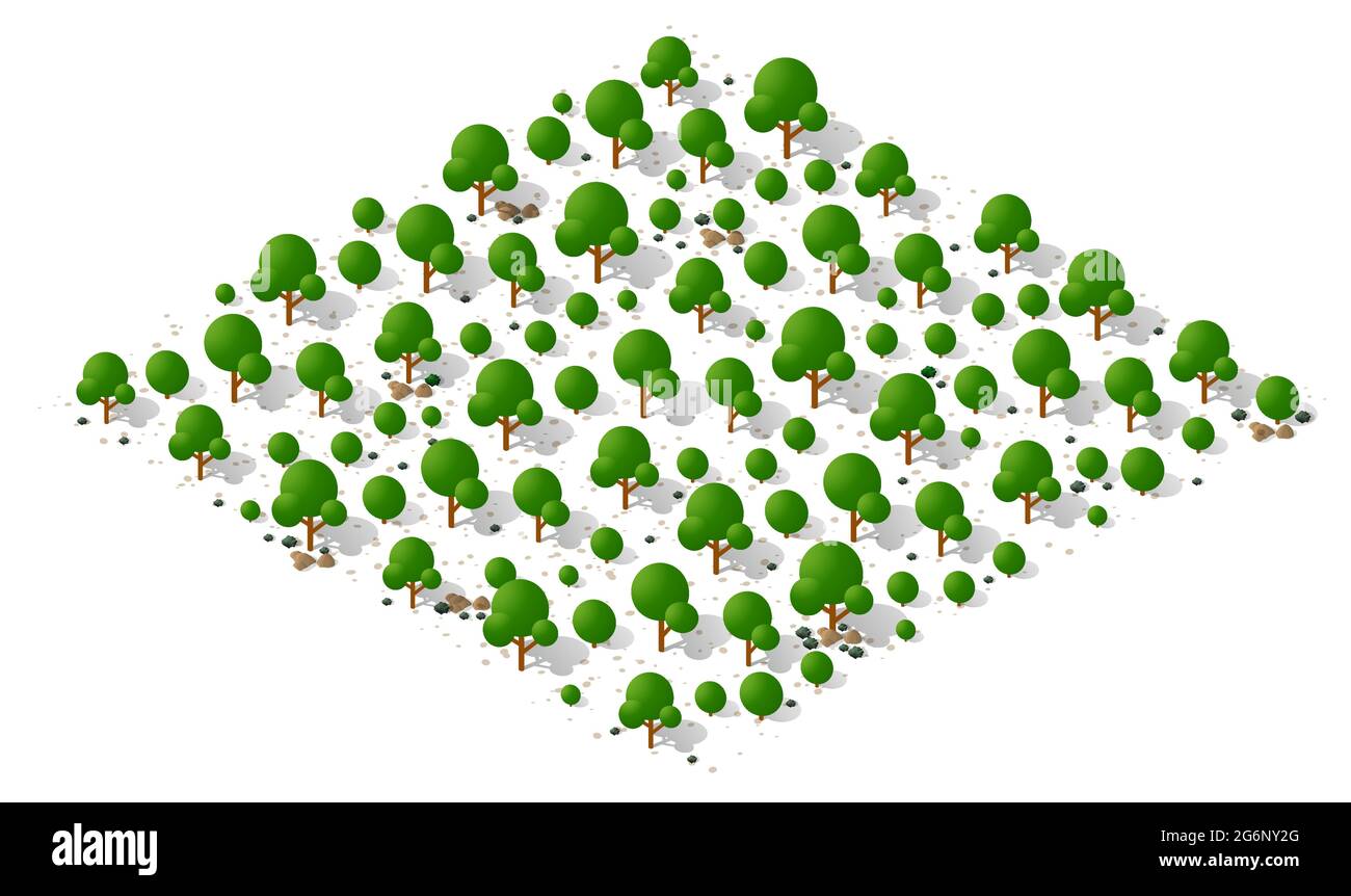 Nature forest landscape of isometric illustration with green tree ...