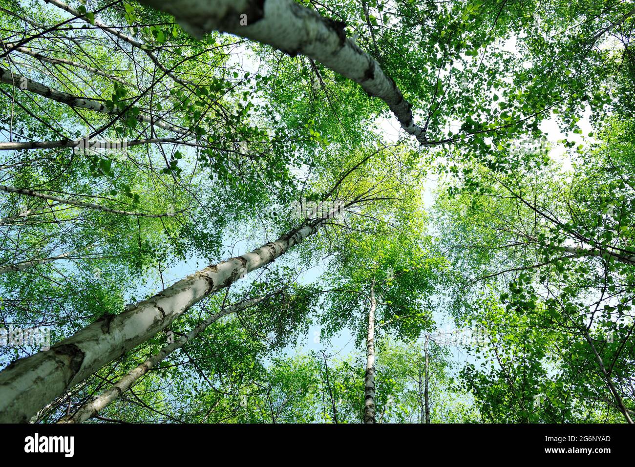 background, beautiful, clear, colorful, country, countryside ...