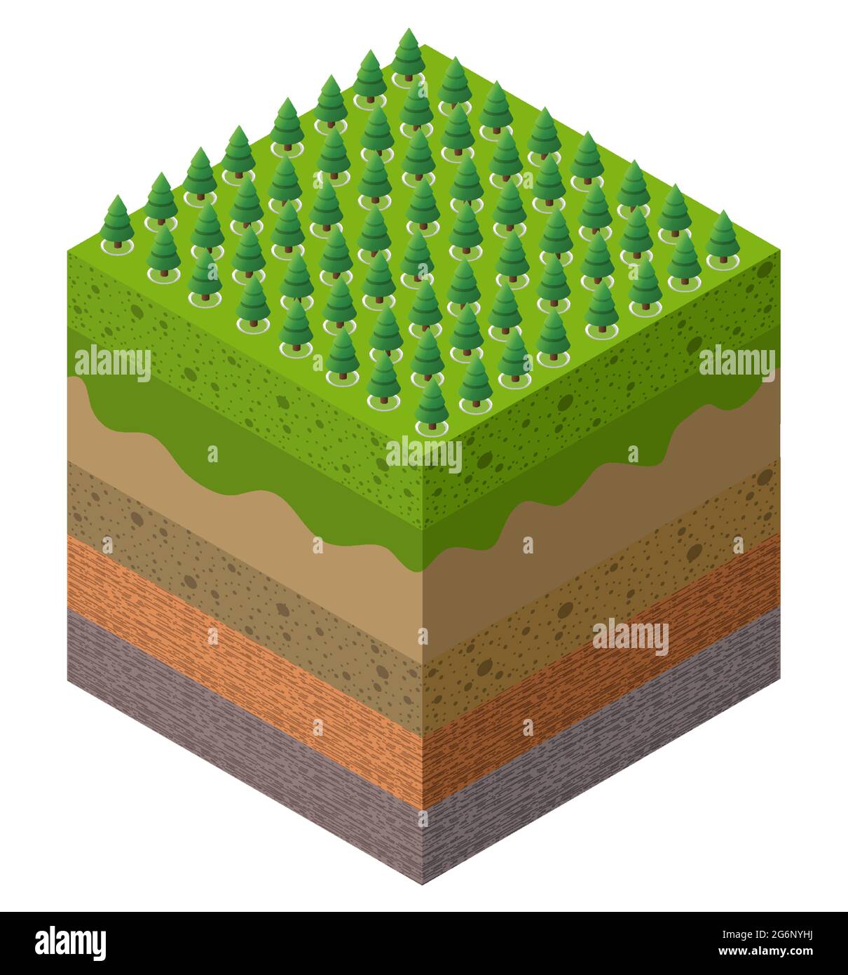 Forest farm Soil layers geological and underground Stock Vector Image ...