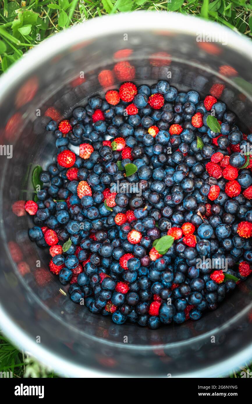 Pot fruit hi-res stock photography and images - Alamy