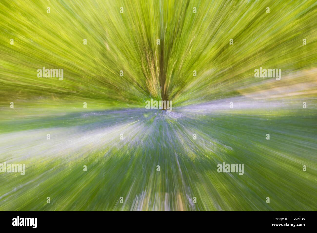 Creative camera techniques hi-res stock photography and images - Alamy