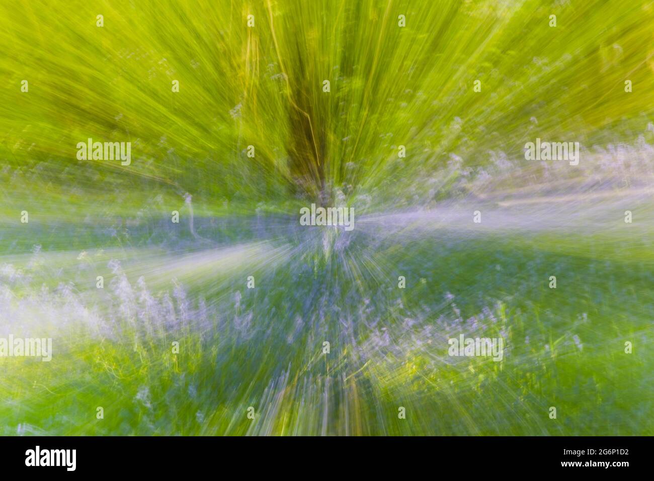 The image demonstrated the photographic techniques of intentional ...