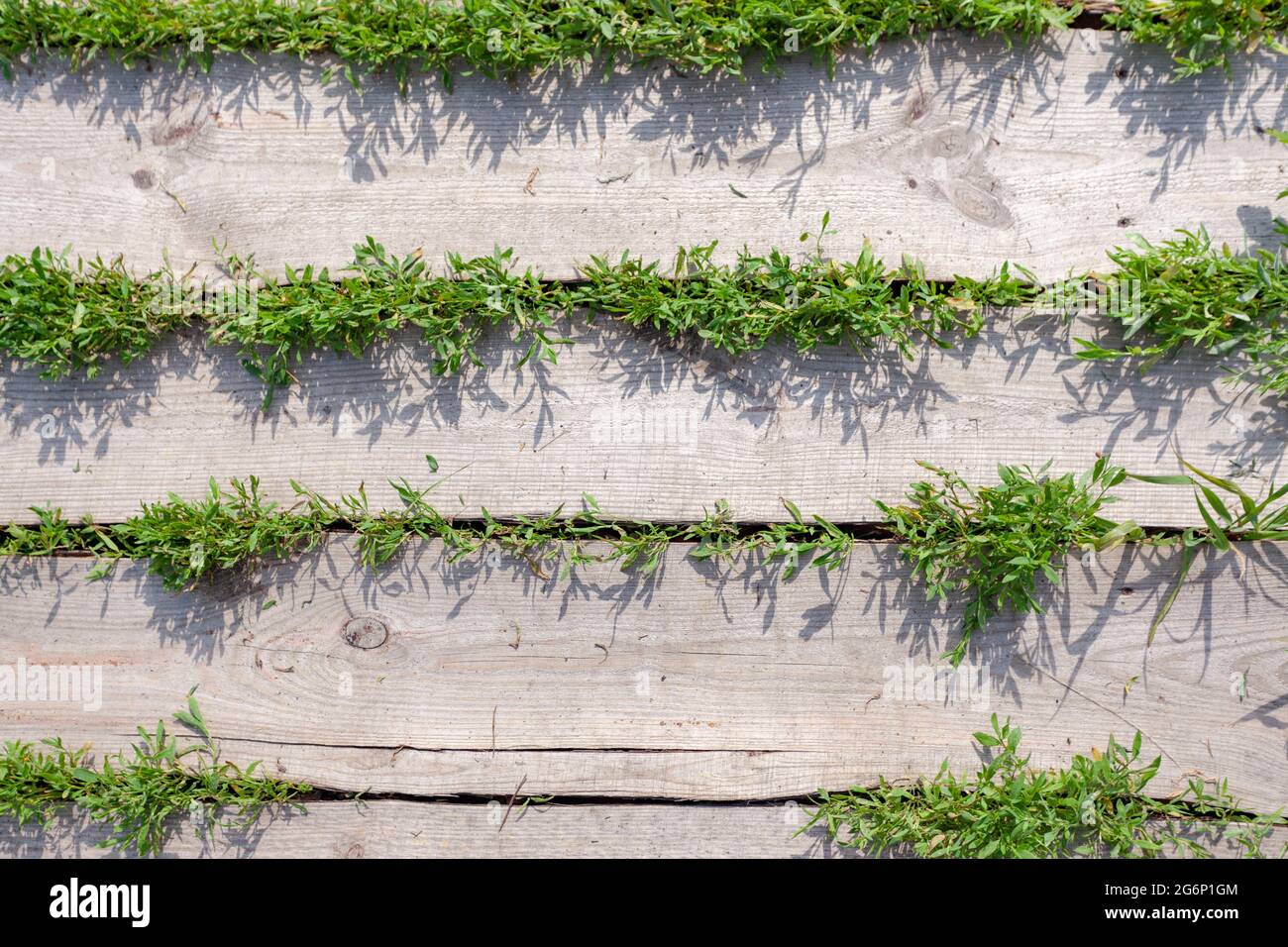wooden boards lie horizontally on the green grass, view from above ...