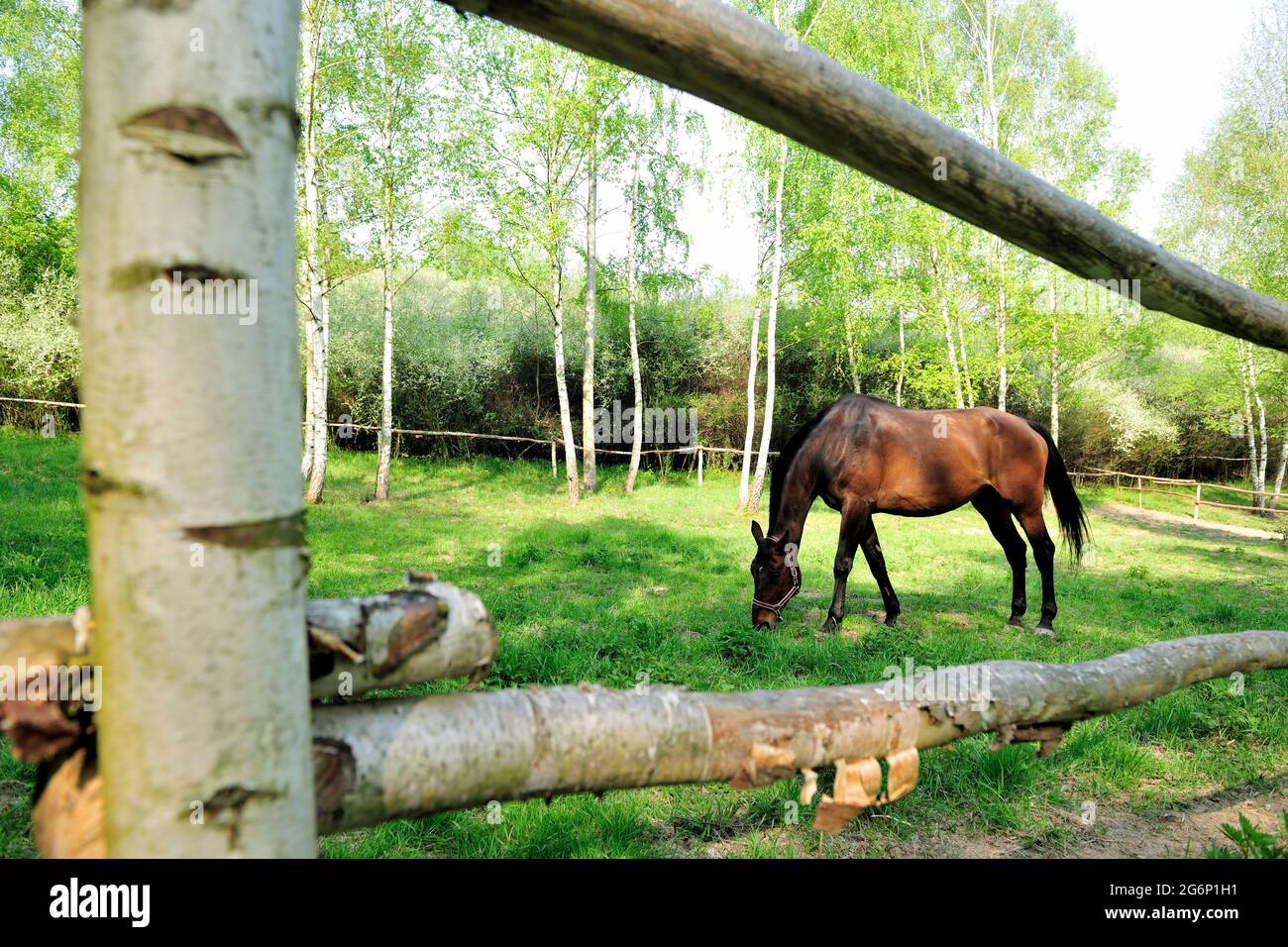 background, beautiful, clear, colorful, country, countryside ...