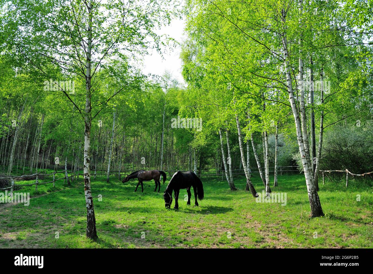 background, beautiful, clear, colorful, country, countryside ...