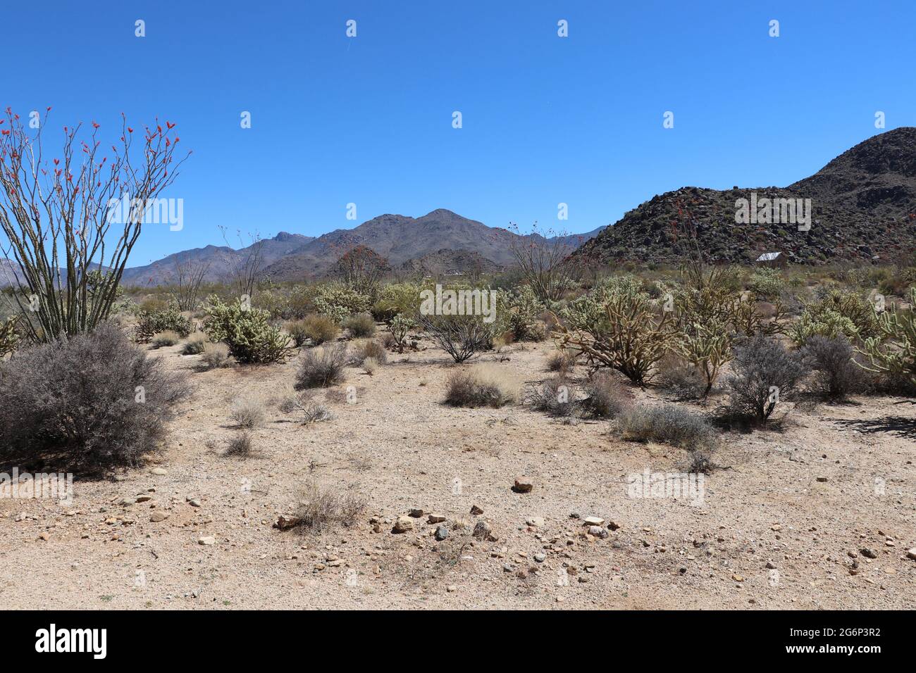 Arizona Desert Landscape Stock Photo - Alamy