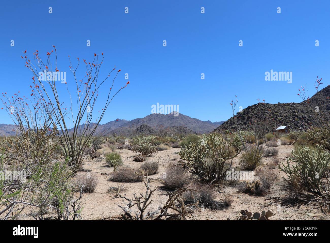 High Desert Landscape in Summer Stock Photo - Alamy
