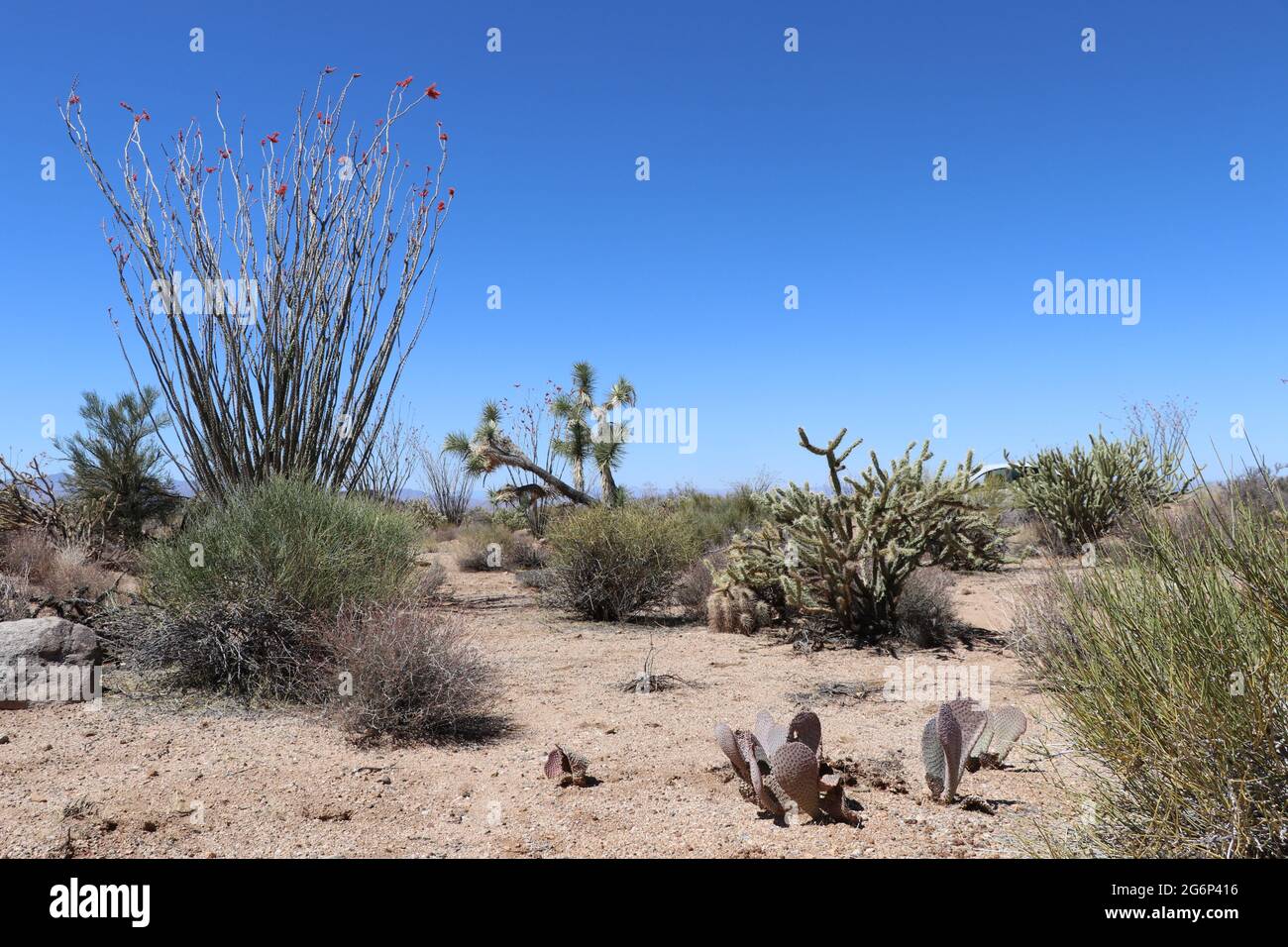 Mohave Desert Scenery Stock Photo - Alamy