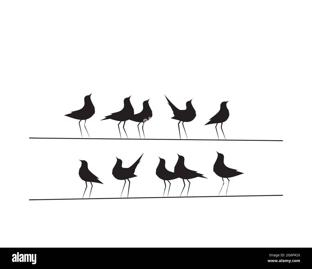 Birds On Wire Silhouette