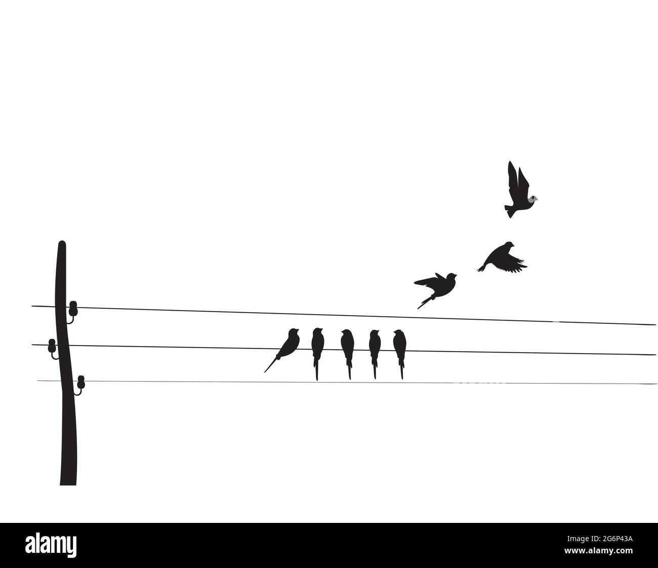 Birds Wire Vector