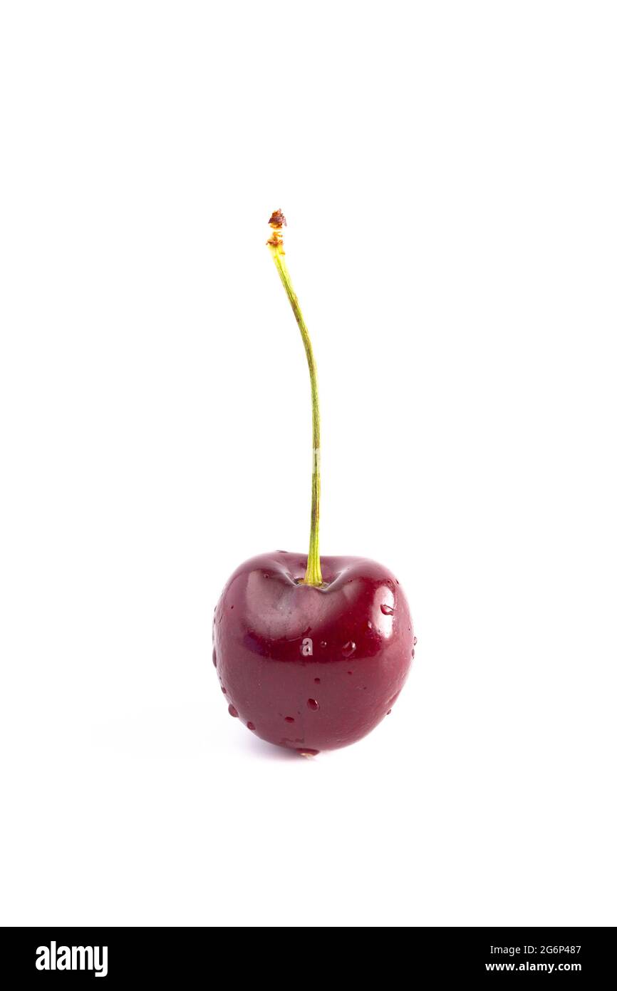 Fresh Dark Red Cherries with Stems Isolated on a White Background Stock ...