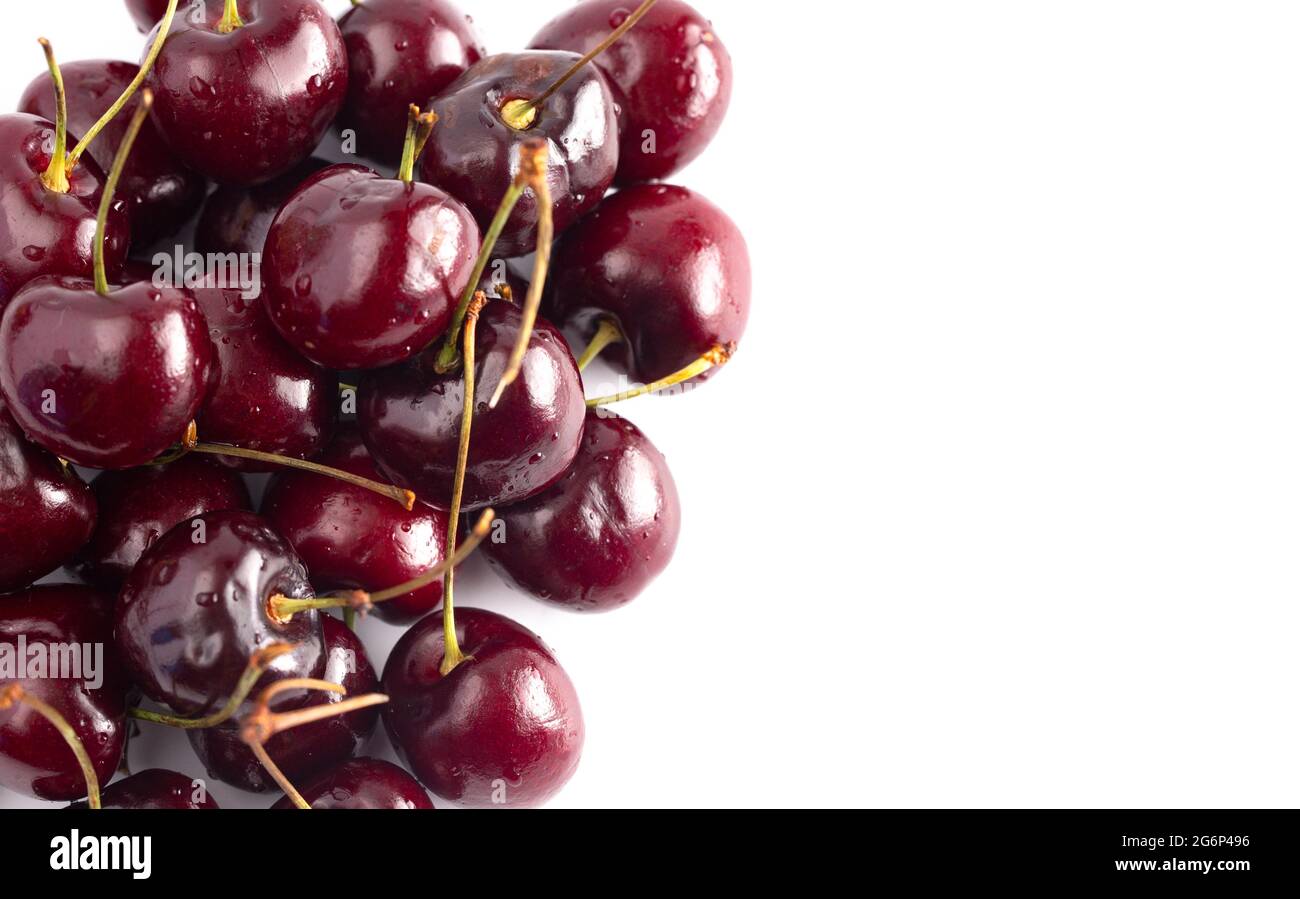 Fresh Dark Red Cherries with Stems Isolated on a White Background Stock ...