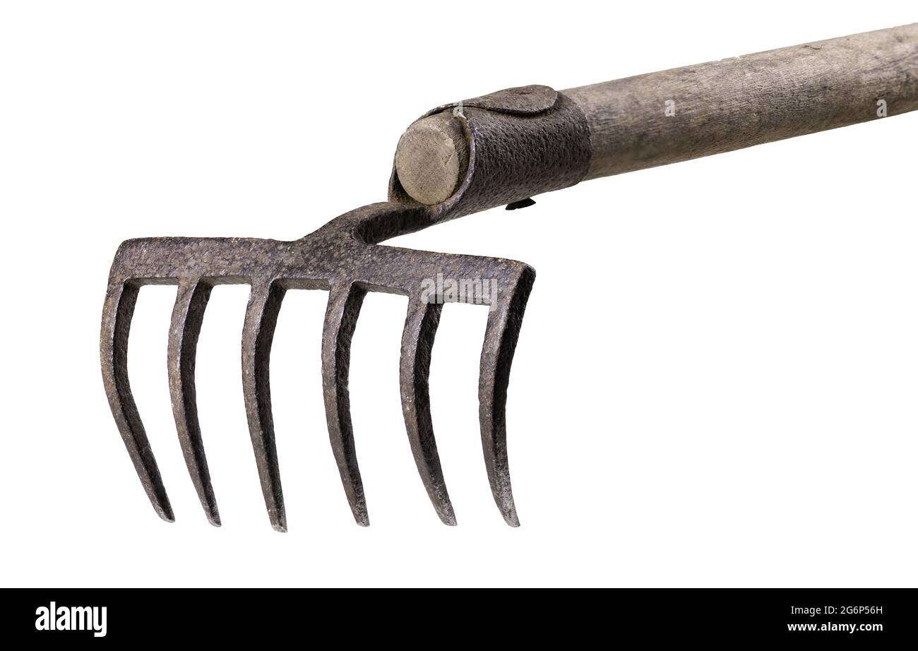 Old rusty rake for garden work. Household garden tools to rake the lawn. Isolated background Stock Photo Alamy