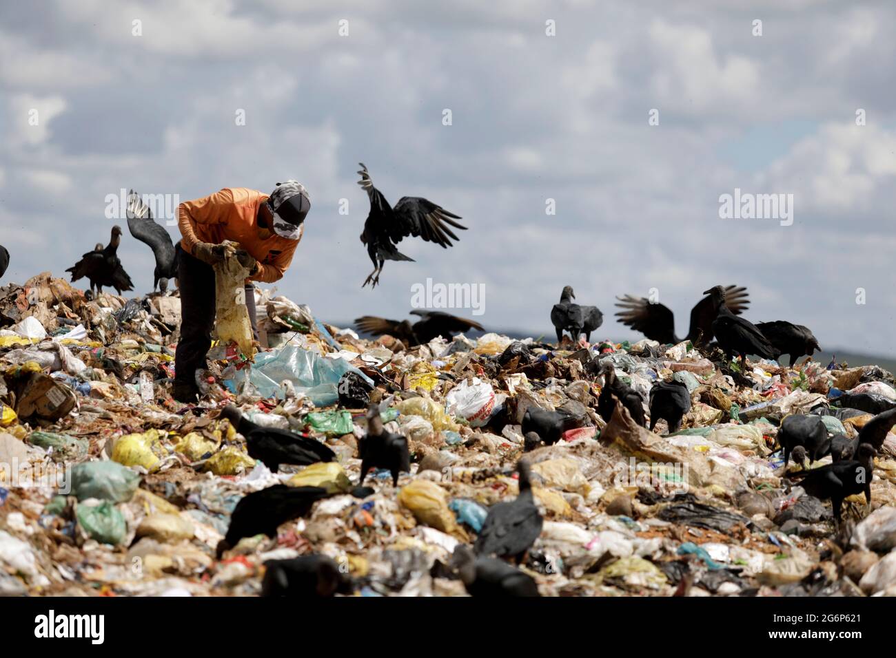 Poor rummaging in the garbage hi-res stock photography and images - Alamy