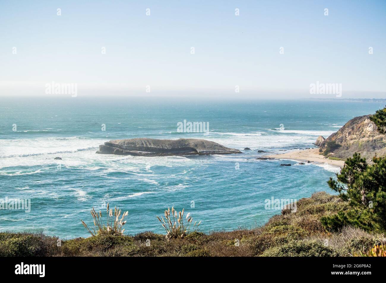 Greyhound on beach hi-res stock photography and images - Alamy