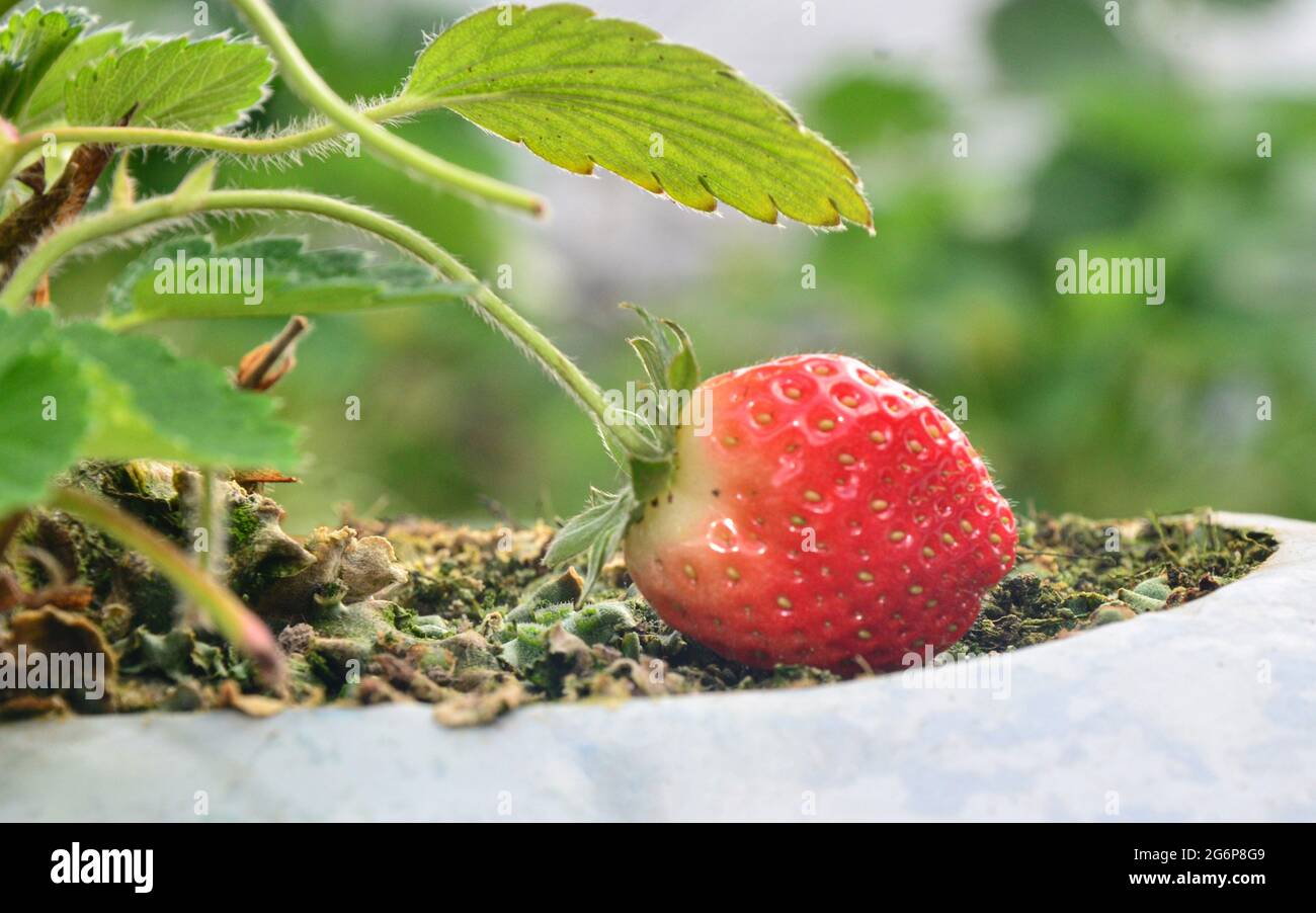 Resting points hi-res stock photography and images - Alamy