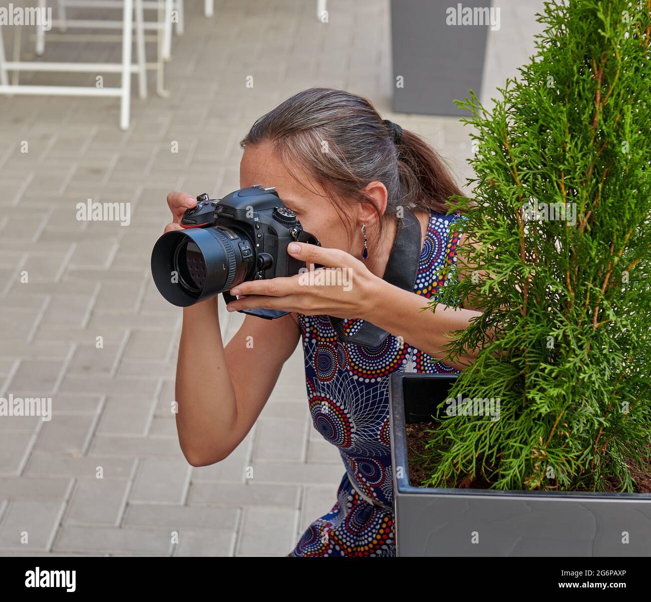 a photographer from under the bushes takes a model Stock Photo - Alamy