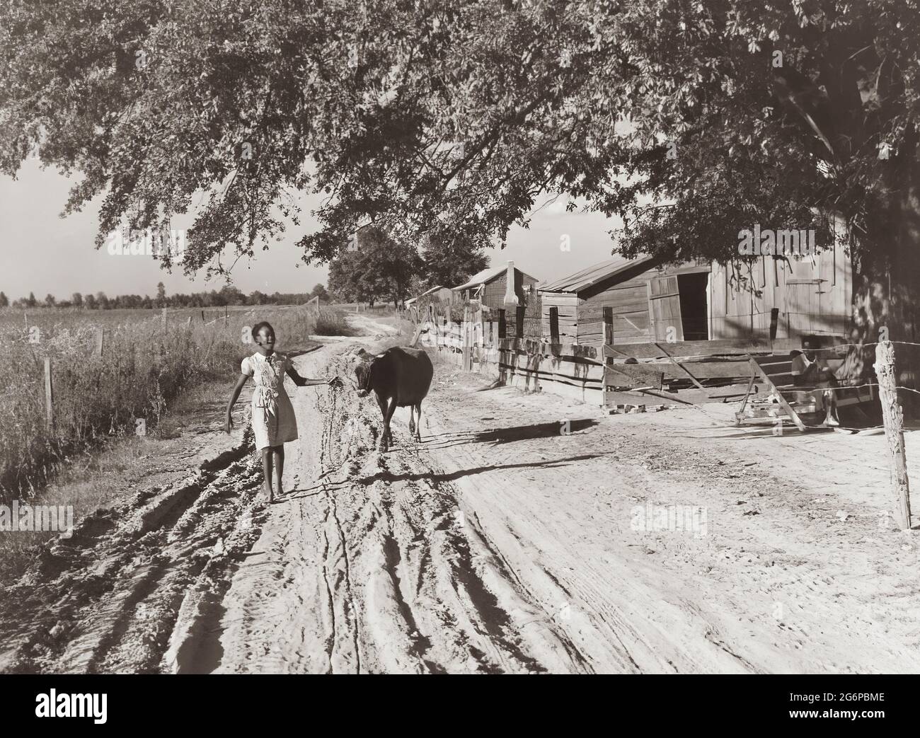 The Great Depression Farmers Life
