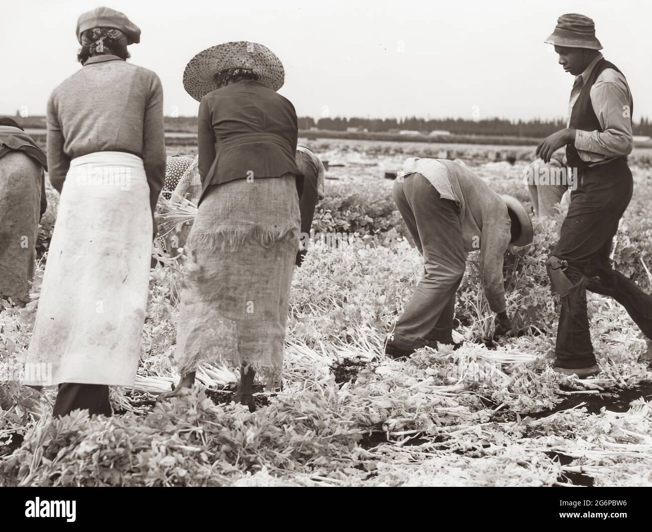 African American life in the Great Depression Stock Photo - Alamy