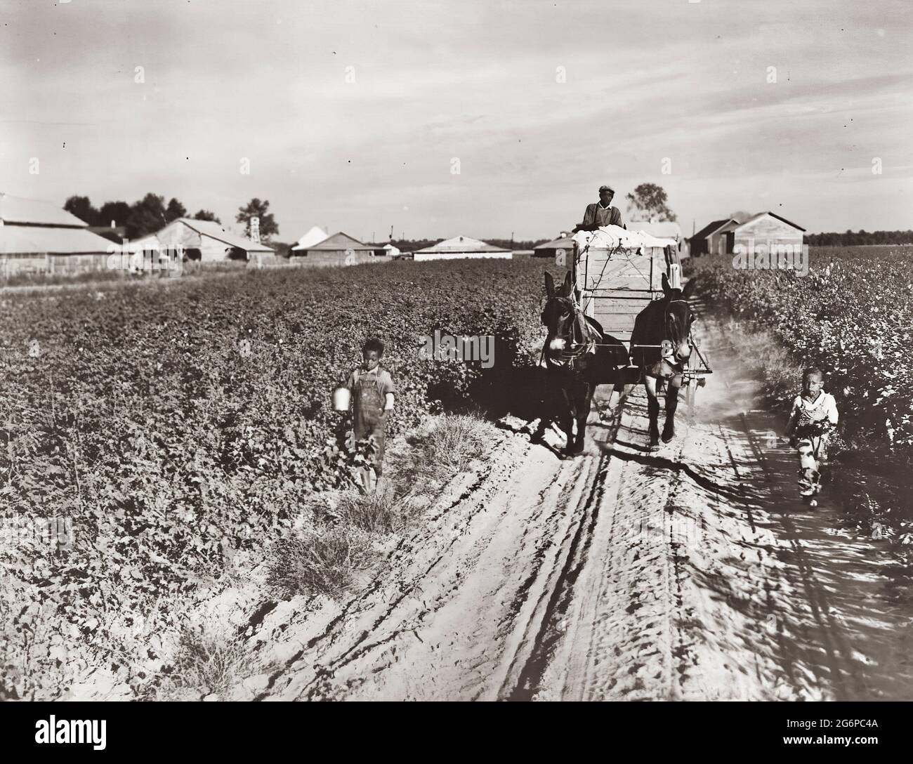 African American life in the Great Depression Stock Photo - Alamy