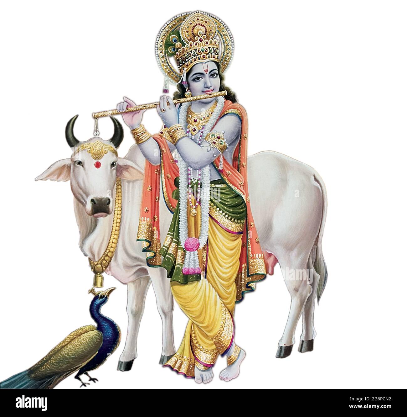 Indian Cow With God