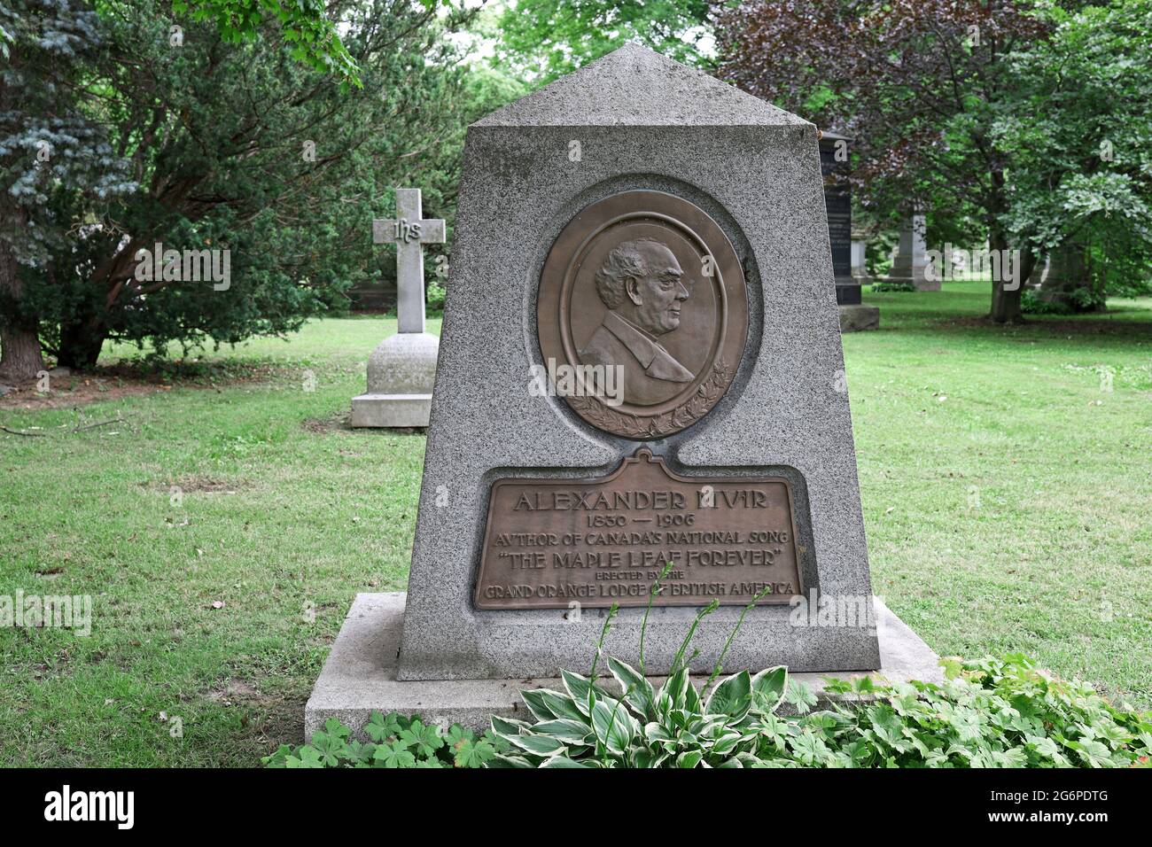 Toronto maple leaf hi-res stock photography and images - Alamy