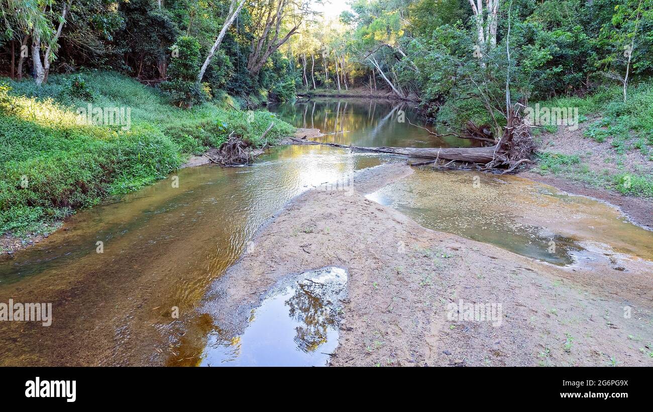 A country creek in beautiful early morning light. Sandy Creek, Mackay ...