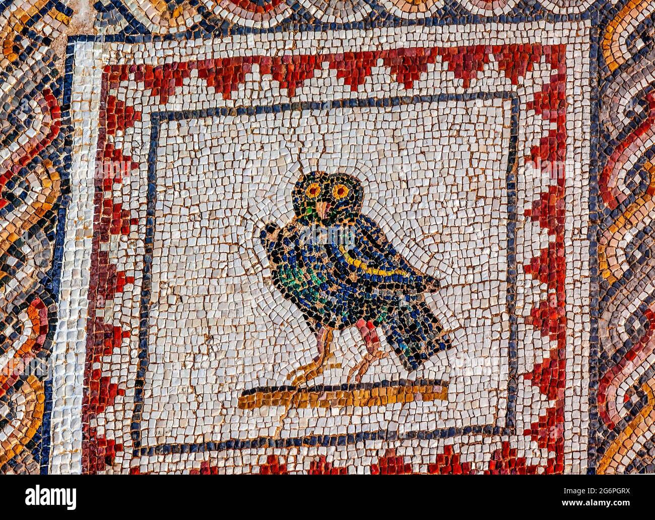 Roman mosaic of owl hi-res stock photography and images - Alamy